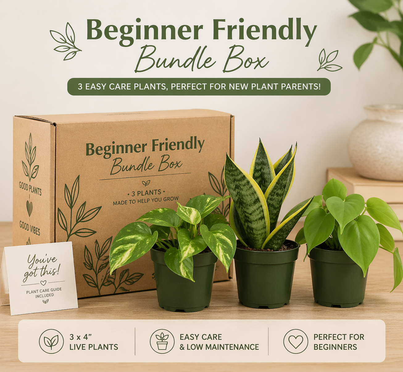 Runo Plants | Plant Bundle Boxes | Beginner Friendly Mystery Box Bundle ...