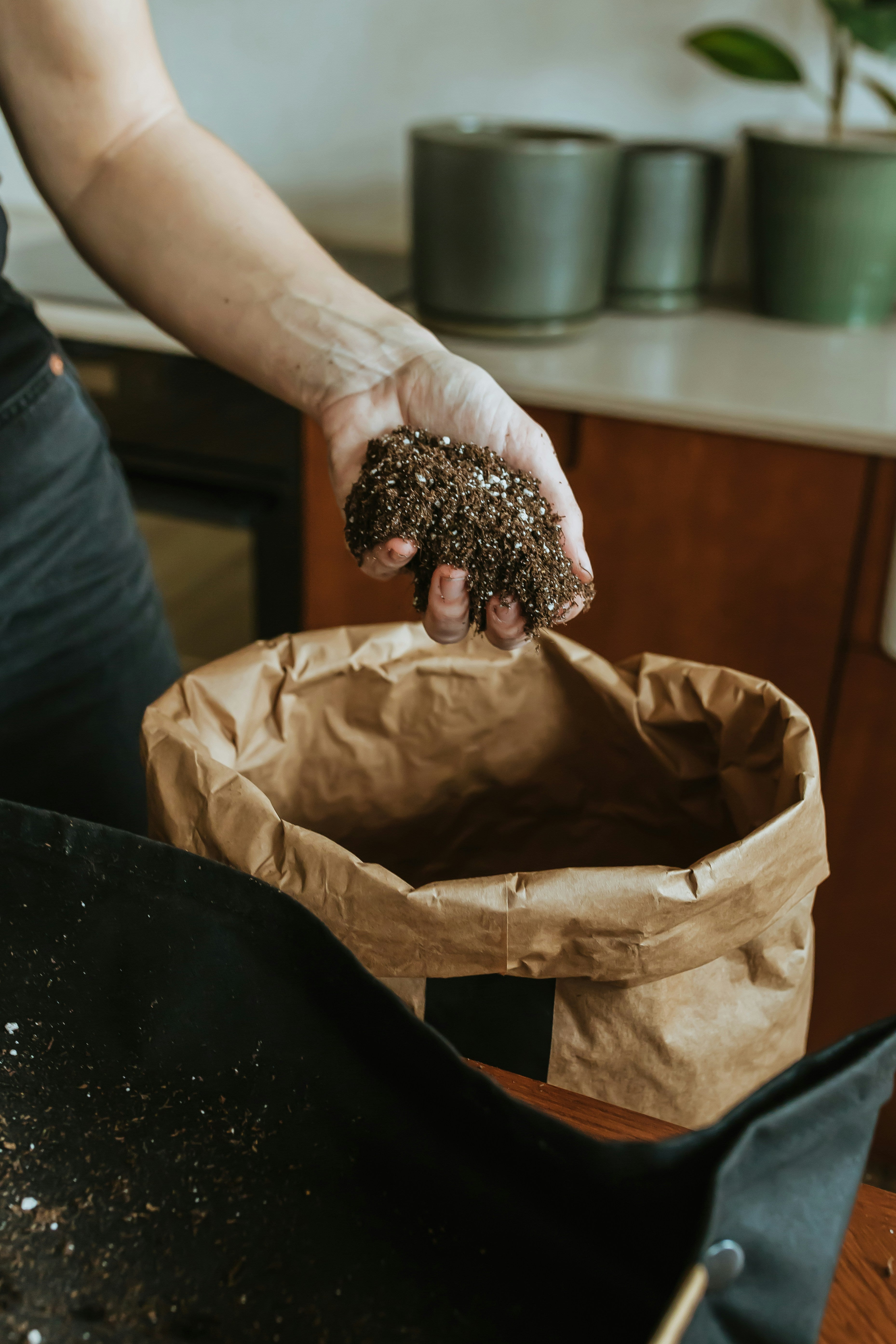 Runo Plants | Choosing Soil For Your Plant – RUNOPLANTS