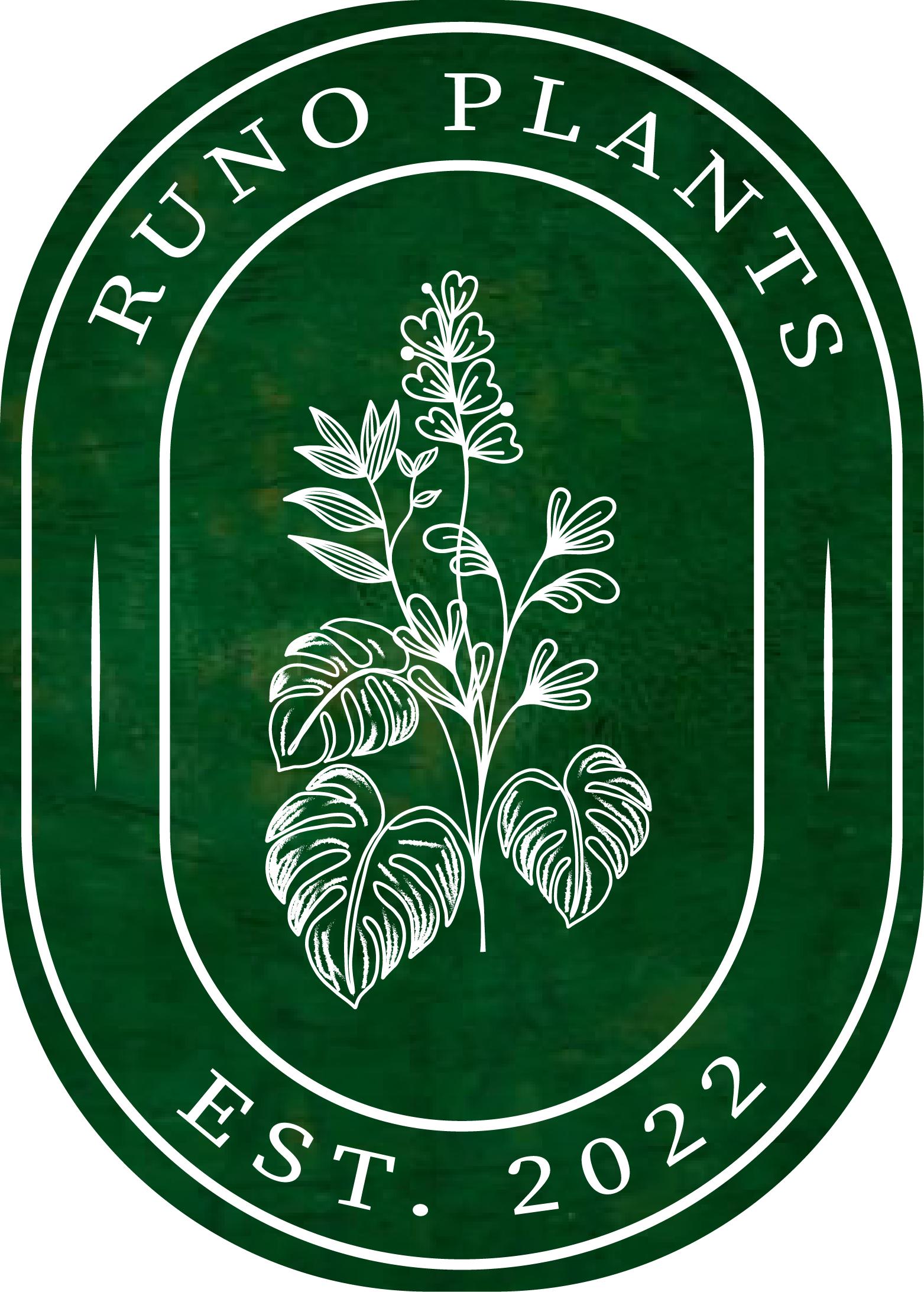 Runo Plants | How to Fertilize Your Houseplants – RUNOPLANTS